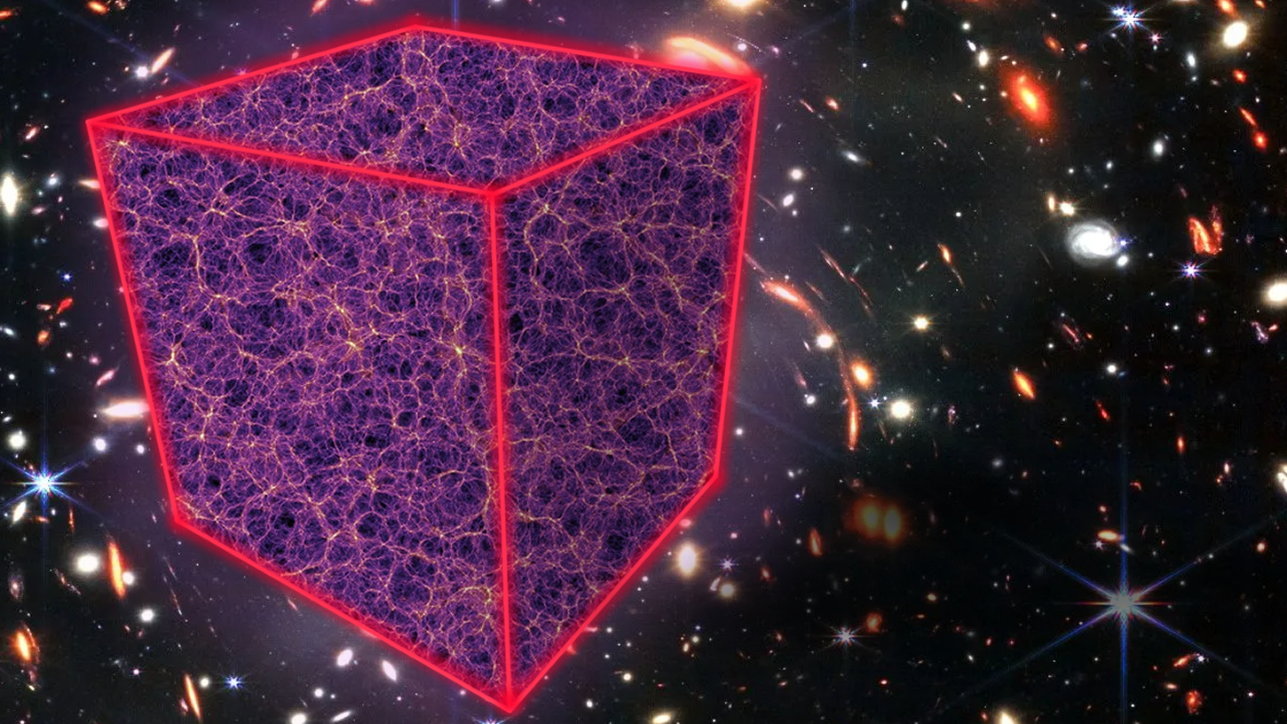 Das kosmische Netz ist magnetisch